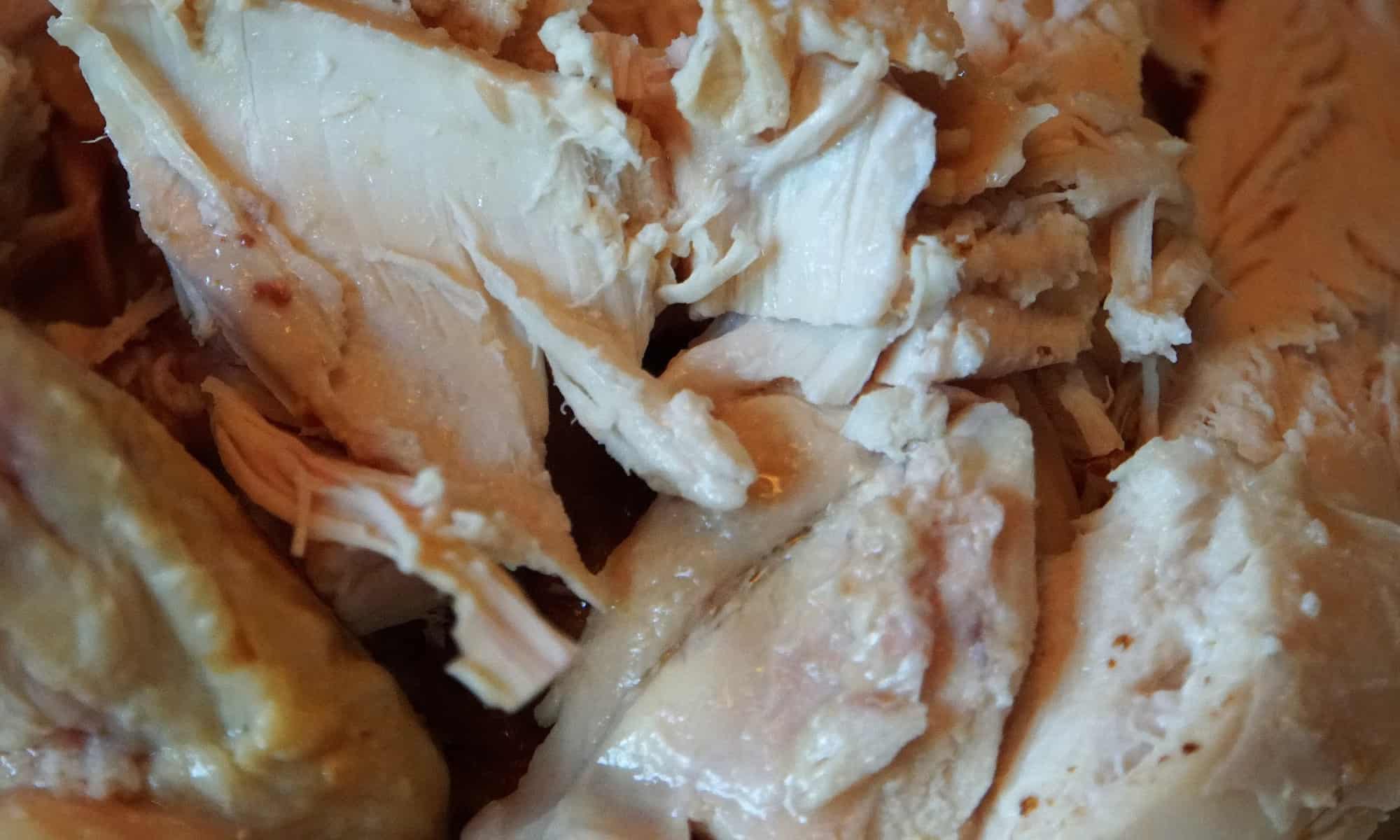 Can Dogs Eat Rotisserie Chicken? Safety and Preparation Tips