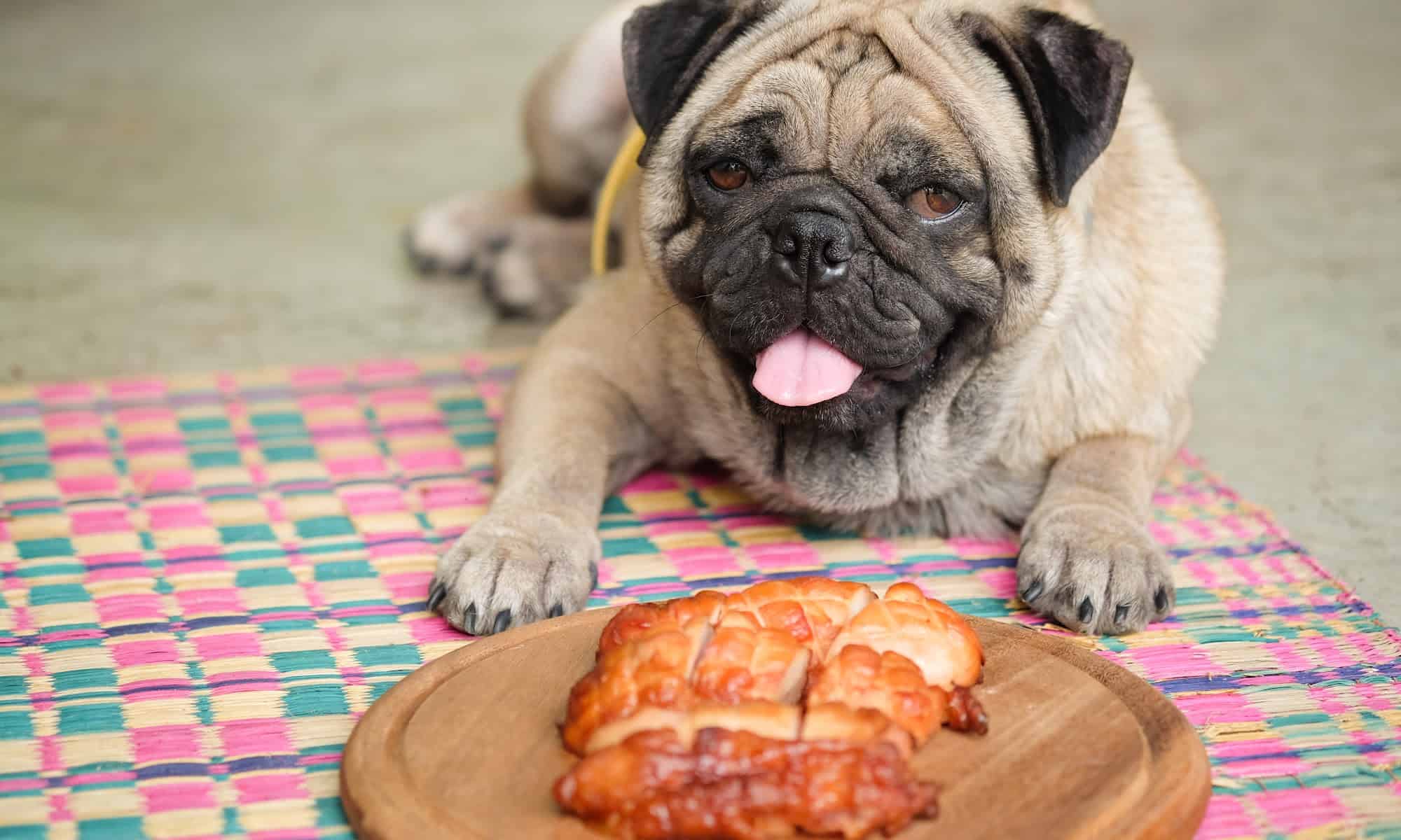 Can Dogs Eat Rotisserie Chicken? Safety and Preparation Tips