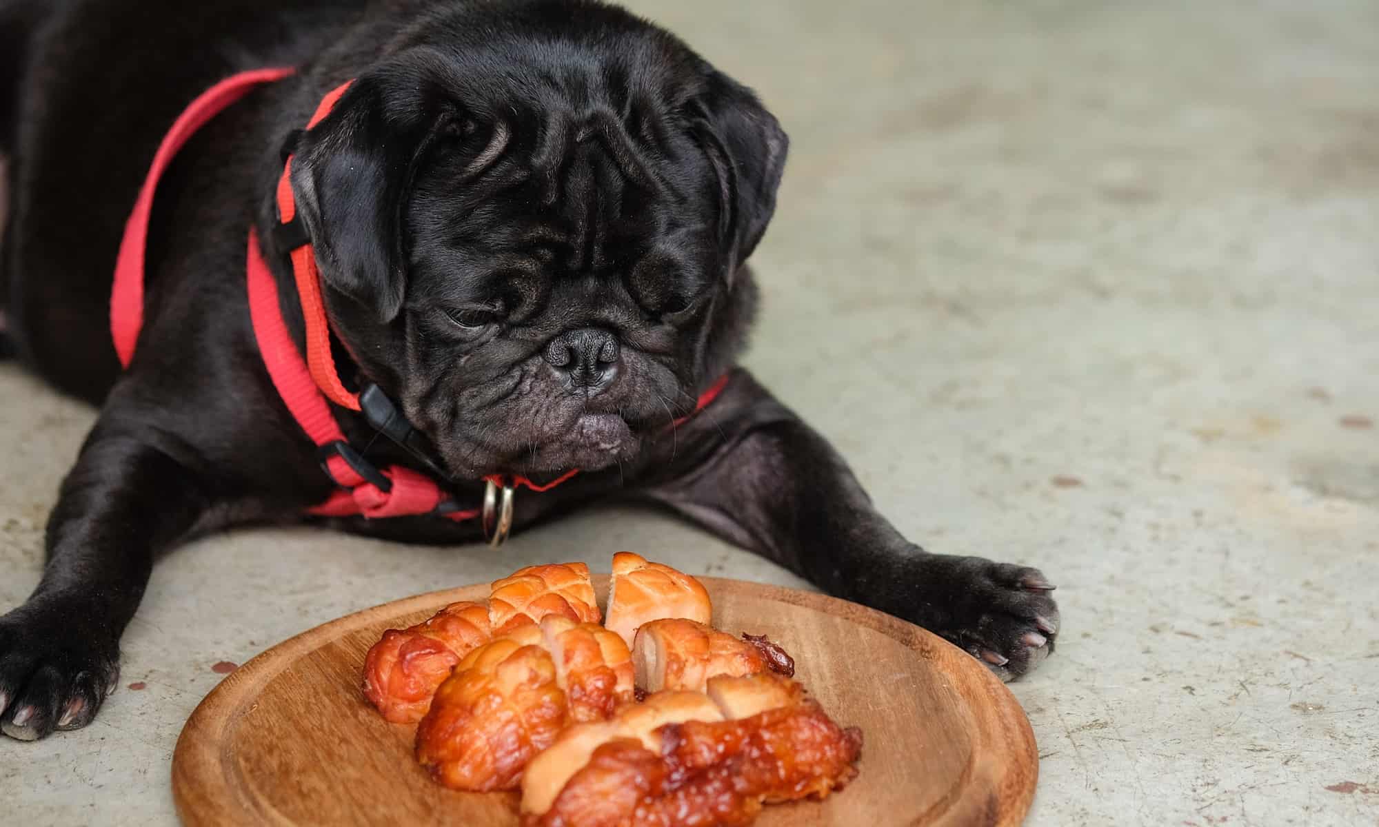 Can Dogs Eat Rotisserie Chicken? Safety and Preparation Tips