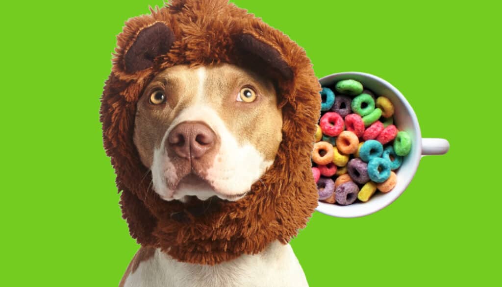 Can Dogs Eat Fruit Loops? A Colorful Conundrum