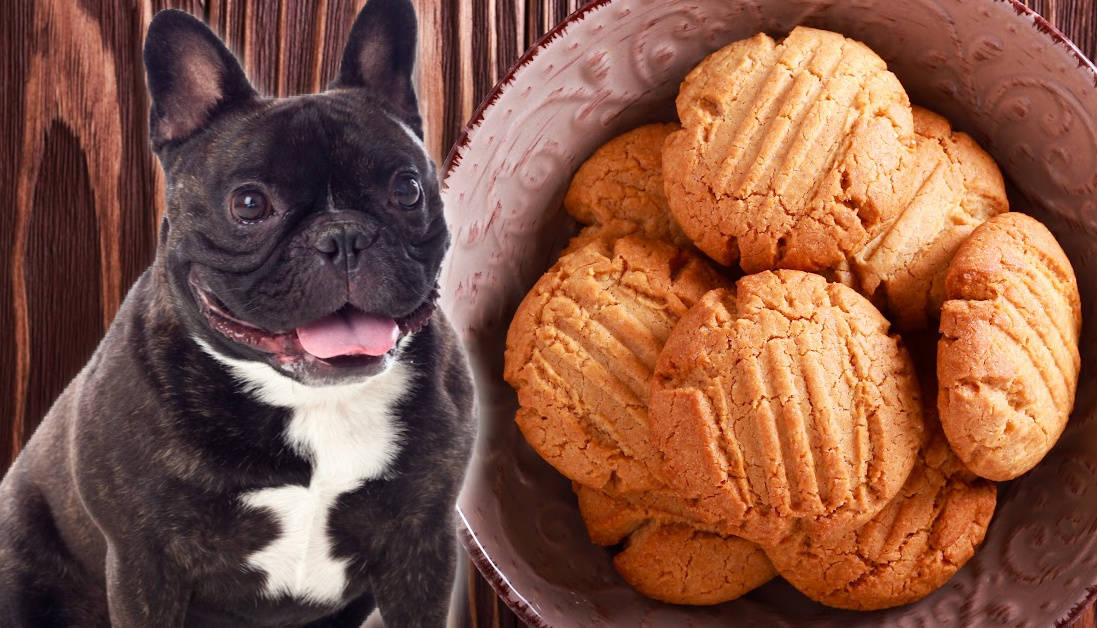 Can Dogs Eat Peanut Butter Cookies? A Nutty Debate