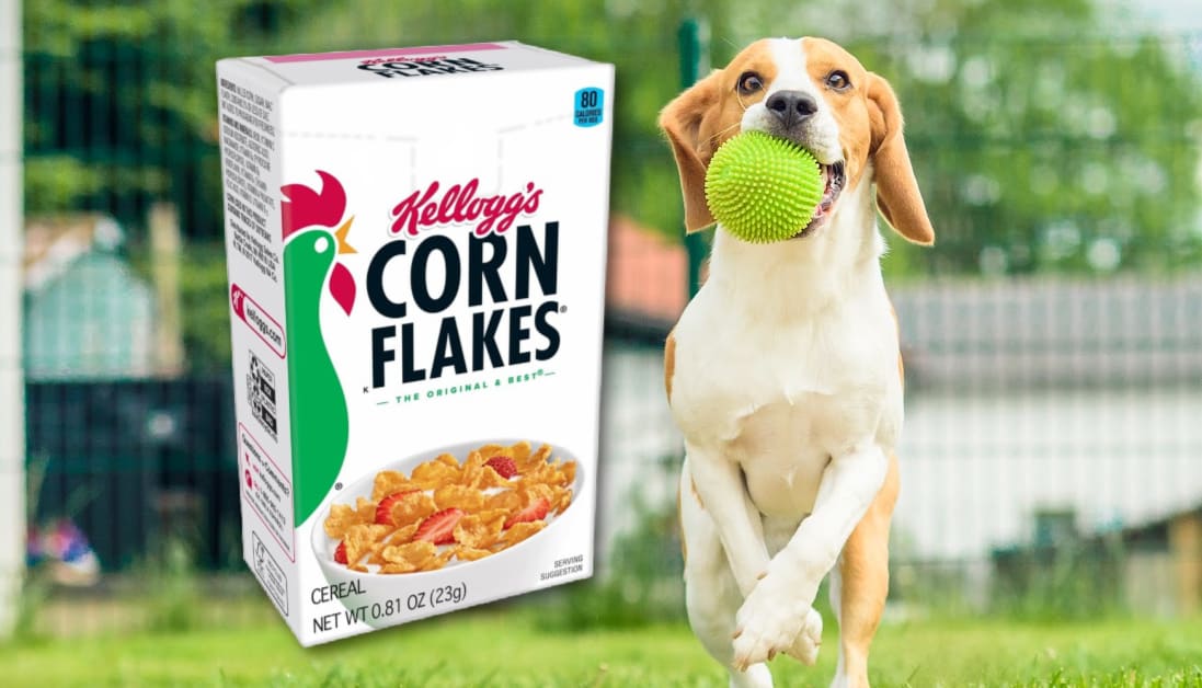 Can Dogs Eat Corn Flakes? The Surprising Truth Unveiled!