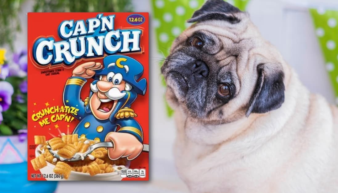 Can Dogs Eat Captain Crunch? Breakfast Bites & Bark-Worthy Bits