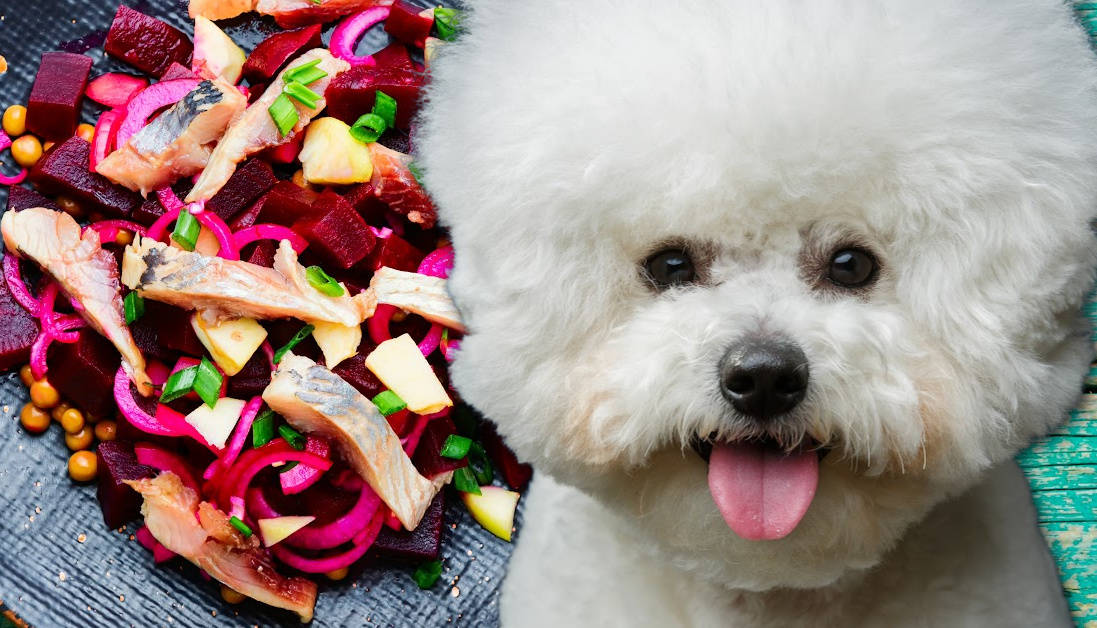 Can Dogs Eat Pickled Beets? Vet-Approved Guidelines for Your Pet's Diet