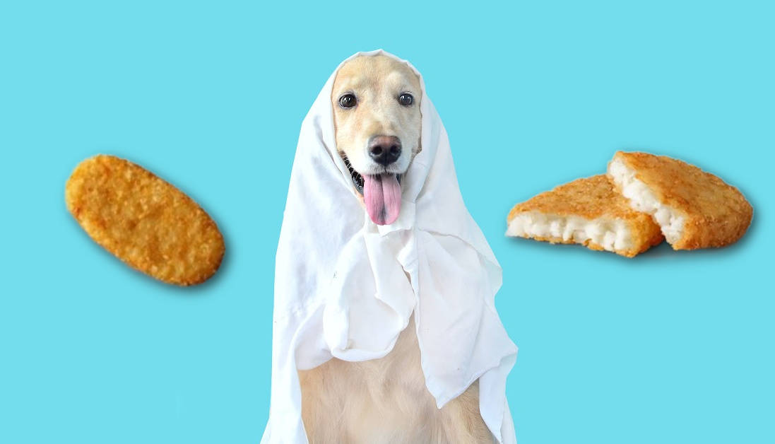 Can Dogs Eat McDonald's Hash Browns? Vet-Approved Advice on Dogs and ...